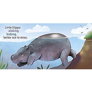 Little Hippo (Little Animal Friends)