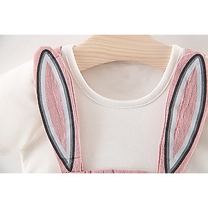 Cabucale Baby Girl Easter Clothing Rabbit Style Long Sleeve Dress (Pink 1T)