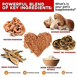 Turkey Tail Mushroom for Dogs Immune Support with Reishi, Shiitake, Maitake Mushroom and Patented White Turmeric Root Extract - Critical Immune Defense for Dogs & Cats