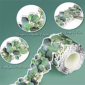 Eucalyptus Die-Cut Border Trim Bulletin Board Border | Eucalyptus Themed Border Sticker, Adhesive Eucalyptus Leaves Bulletin Board Border Trim for Boxes Wrap Cards Party Decoration Supplies