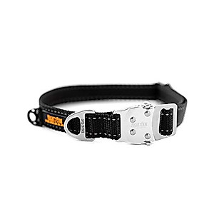 Mighty Paw Metal Buckle Dog Collar, All Metal Hardware, Lightweight Collar, Reflective Stitching, Strong, Durable (Medium, Black)