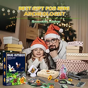 Amber Dig Kit - Insects in Resin, 8 Insects Specimens Excavation Kit, Geographic Bug Toys for Kids, Educational Science Kits for Bugs Collection, STEM Toys for Boys & Girls Age 6 and up Birthday Gift