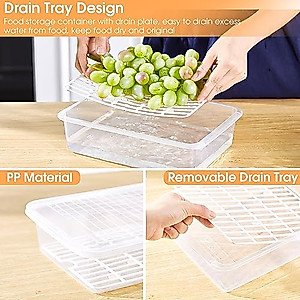 Thyle Clear Storage Bins with Lids Plastic Stackable Fridge Organizers with Removable Drain Tray Keep Fresh Food Storage Containers for Fridge Refrigerator Fruit Vegetables Pantry (9 Pcs,XL, L, S)