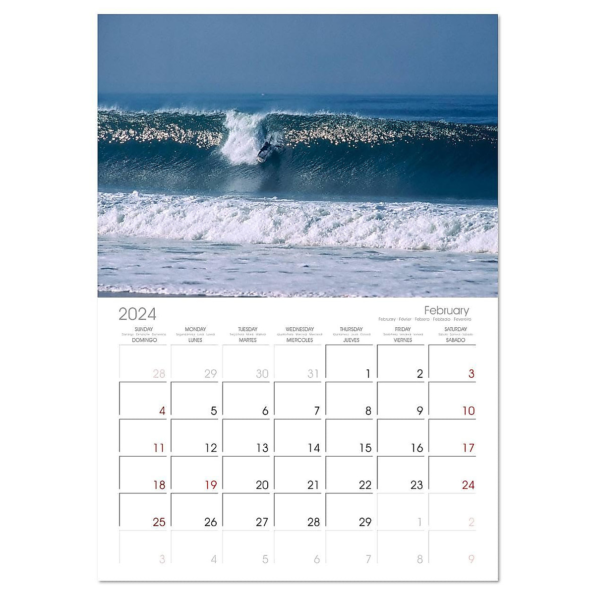 SURF PASSION 2022 Photos by Marion Koell (Monthly Wall Calendar 2024 11.7" x 16.5" (open)), CALVENDO 14 Month Calendar