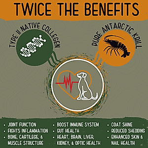 DogBone Krillagen Super Chews Dog Health Supplement | Dog Joint Supplement | Dog Health Supplies | Omega 3 for Dogs | Dog Supplements and Vitamins | Collagen Chews for Dogs| Krill for Dogs