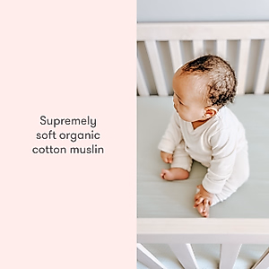 Newton Baby Mini Crib Fitted Sheets (2-Pack) | Organic Muslin Cotton, Ultra Breathable & Soft Baby Sheets, Machine Washable Baby Mattress Sheets, Fits Any Mini Sized Crib 24" x 38", Sage