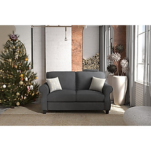 Sunrise Coast Loveseat Sofa 56'' Small Couches for Living Room Upholstered 2 Seater Sofas with Round Armrest Cushion with Zipper, Grey