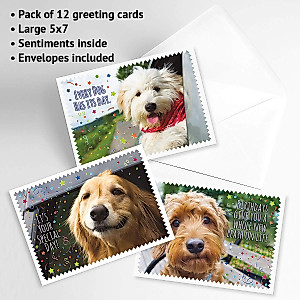 Current Furry Pals Birthday Greeting Card Value Pack – Set of 12 (4 Designs), Large 5 x 7 inches, Envelopes Included