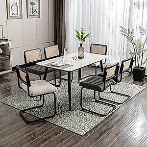 ONEVOG Rattan Dining Chair with Cane Backrest and Metal Frame, Set of 2, Indoor Furniture for Kitchen, Living Room, Bedroom, Guest Room, Restaurant(Beige)