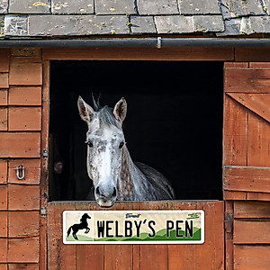 Custom Street Signs with Text & Icon - 30 Icons, 50 States - Personalized Florida Metal Street Sign, 2 Sizes, 13X4" or 18X4" - UV Protected Aluminum Signs with Florida Themed Background