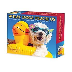 What Dogs Teach Us 2023 Box Calendar