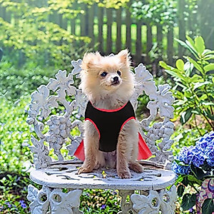 Phiyolin Dog Dress, Pet Princess Dress Red Organza Puppy Dress with Cute Bow, Pet Dress with Diamond Dog Skirt for Small to Medium Dogs(M,Red)