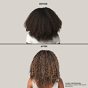 Clairol Professional Crème Permanente, 6g Dark Gold Blonde, 2 oz. - Packaging May Vary