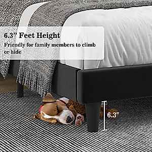Allewie King Bed Frame/Velvet Upholstered Bed Frame with Vertical Channel Tufted Headboard/Strong Wooden Slats/Platform Bed Frame/Mattress Foundation/Box Spring Optional/Easy Assembly/Black