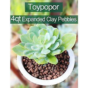 4qt Hydroponic Clay Pebbles, 8mm-12mm, Toypopor Natural Organic Expanded Grow Media for Hydroponics, Drainage, Decoration, Aquaponics and Other Gardening Essentials