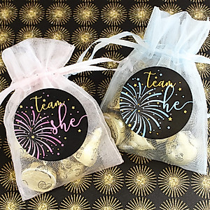 What Will Our Little Firework Be Gender Reveal Party -Team He or Team She - 40 Stickers