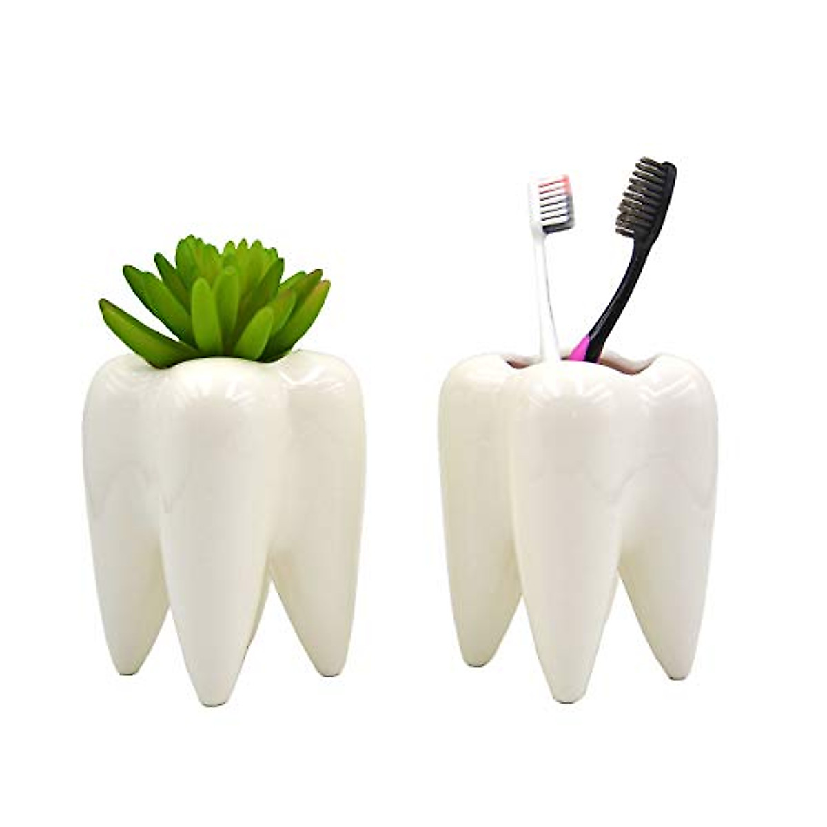 4.7" Tooth Planter Pot/Bonsai Pot/Succulent Planter/Pencil Cup/Toorhbrush Holder 3D Shaped Multipurpose