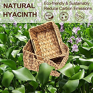 FairyHaus Wicker Baskets 2 Pack 11x9x7" & 9.5x7.5x6.5", Natural Water Hyacinth Wicker Storage Basket for Organizing, Hand-woven Big Wicker Basket with Handles, Large & Small Wicker Baskets Set for Storage Shelves