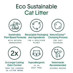 Boxie® Eco™ Farm to Box Sustainable 30 Day Odor Control Clumping Cat Litter, 6.5lb Boxiecat 99.9% Dust Free Plant-Based Kitty Litter