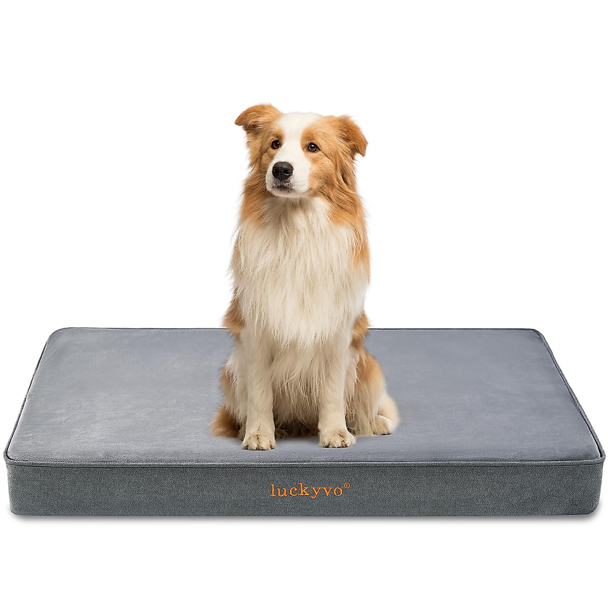 luckyvo Dog Bed Mat for Large Dogs, Orthopedic Gel Memory Foam, Waterproof, Removable Cover, 35x22x3 inches, Grey