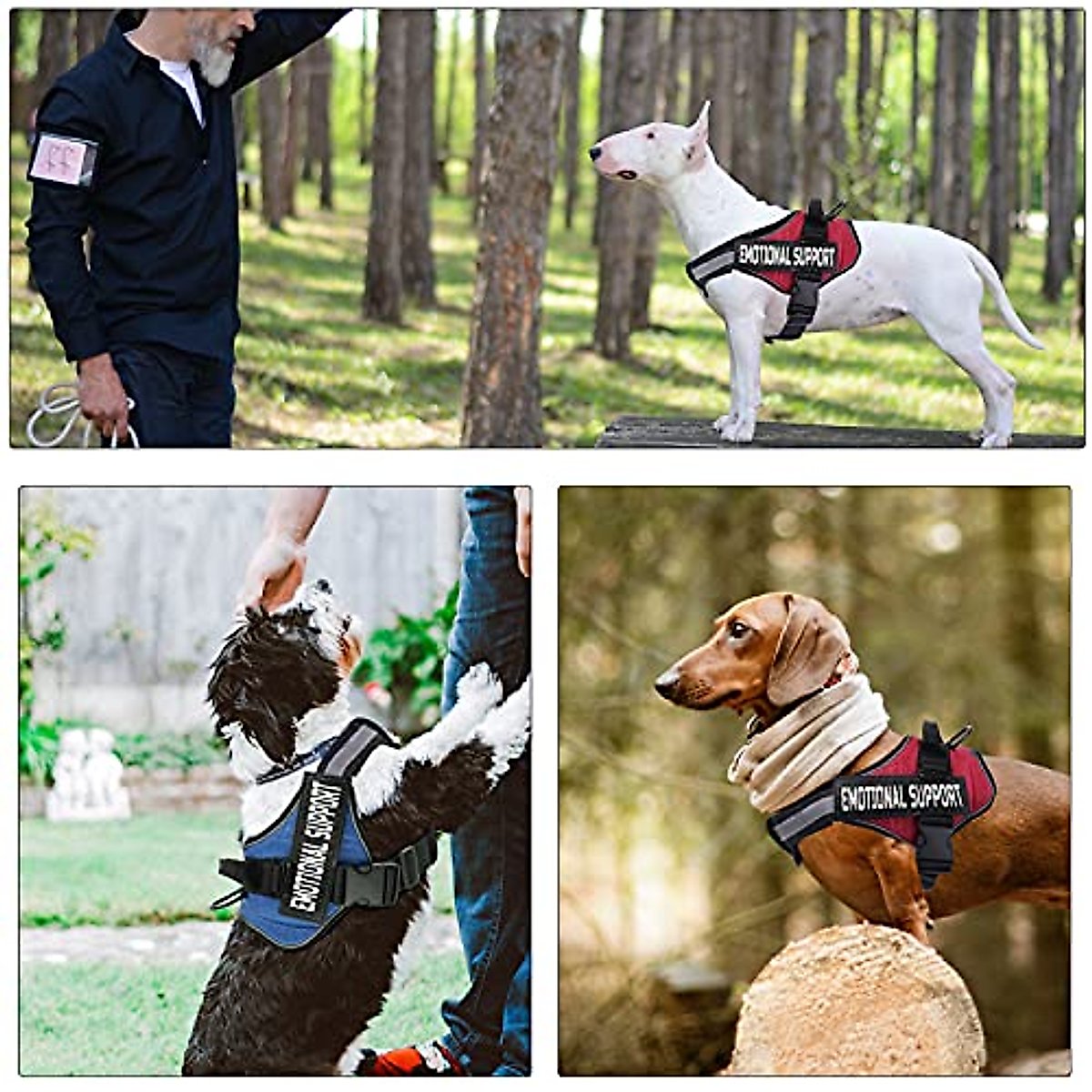 Custom Patch 2 Pieces Dog Vest Patches, Personalized Removable Tactical Patches for Dog Harness Service Dog in Training and Dog Halter Patches with Hook and Loop