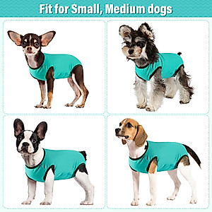 Due Felice 2 Packs Dog Surgery Recovery Suit Small Dogs Onesie for Surgery Female Male Dog Surgical Recovery Suit After Spayed Neuter Body Suit Anti-Licking Wounds Dog Cone Alternative