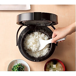 HITACHI IH Rice Cooker Ohitsu-Gozen 2.0 Go (300g / 10.5oz), Brown-Gold, RZ-WS2M N