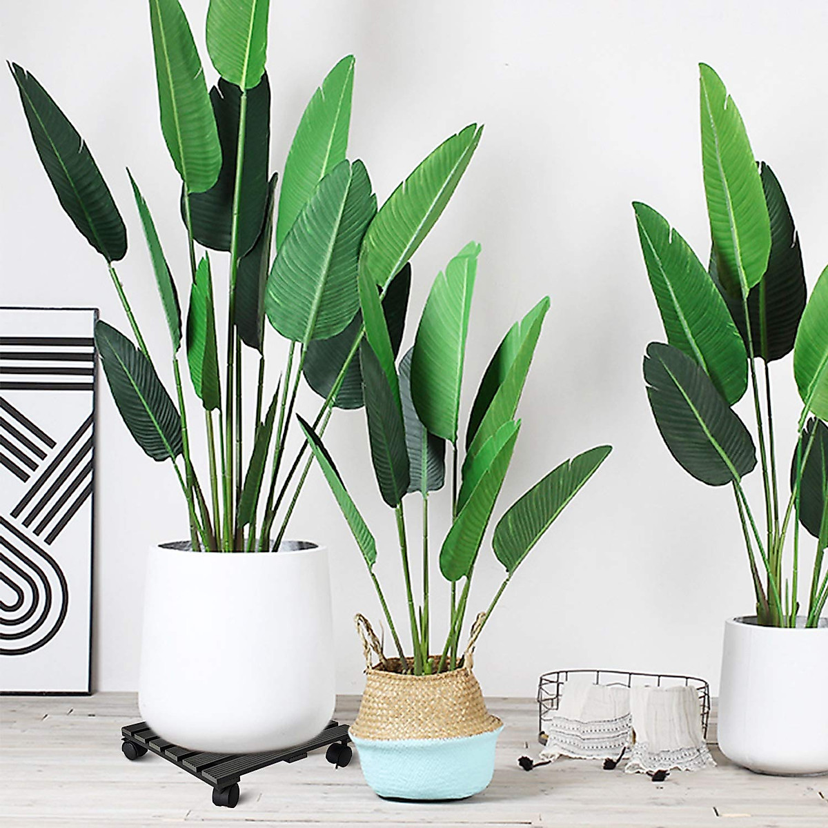 CERBIOR Plant Caddy Heavy Duty Plant Pot with 5 Rolling Wheels Indoor/Outdoor Holds up to 14 Inches and 150 Lbs Strong and Sturdy Design (14 Inch Square, Charcoal)