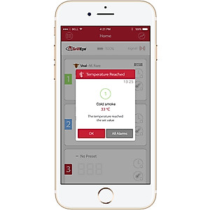 GrillEye GE0001 Smart Bluetooth Grilling & Smoking Thermometer, Red