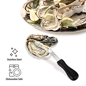 Fasmov 10 Pack Oyster Shucking Knife, Stainless Steel Oyster Knife Oyster Shucker Clam Knife, Oyster Knives Suitable for All Kinds of Shells and Oysters Shucking(White+ Black)