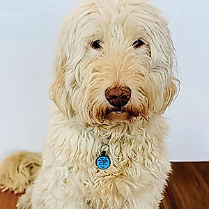 Love Your Pets Soundless ÒPearls of WisdomÓ Pet Tag - Deep Engraved Silicone Ð Double Sided & Engraving Will Last - Pet ID Tags, Dog Tags, Cat Tags