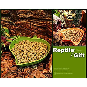 pranovo 2 Pack Leaf Reptile Food and Water Bowl for Pet Aquarium Ornament Terrarium Dish Plate Lizards Tortoises or Small Reptiles