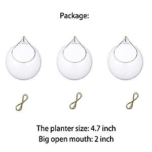 Ivolador Hanging Plants Glass Terrarium Container 4.7 Inches Air Plant Holder Succulents Globe Shape Home Garden Décor- 3 PCS