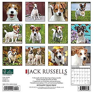 Just Jack Russells 2021 Wall Calendar (Dog Breed Calendar)