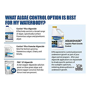 Cutrine-Plus Algaecide, 1 gal
