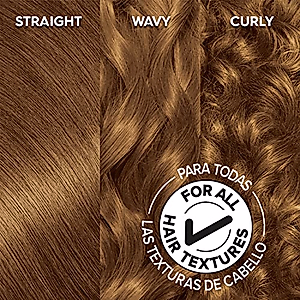 Garnier Hair Color Olia Ammonia-Free Brilliant Color Oil-Rich Permanent Hair Dye, 6.3 Light Golden Brown, 1 Count (Packaging May Vary)