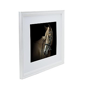 Studio Nova Picture Frame Displays 11 x 14 Photos 16 x 20 Without Mat, 16x20-Matted 11x14, White (5278448)