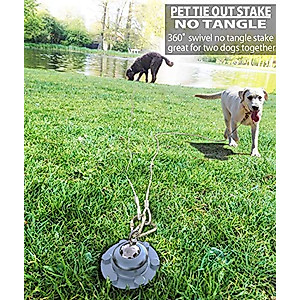360° Swivel Dog Tie Out Stake Dog Anchor – Lifetime Replacement - Heavy Dog Yard Stake Rust Proof Cat Anchor Dog Tether Holds 1000Lbs of Pull Force for Yard Camping Outdoor (All sized animals, Silver)