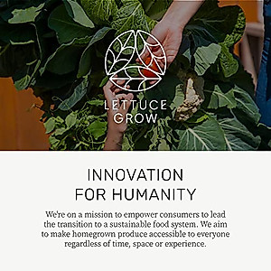 Lettuce Grow Farmstand with Glow Rings (Farmstand Only, No Seedlings Included) | 36-Plant Hydroponic System | Vertical Garden | Large Home Garden w/Self Watering Pump, BPA-Free Food Grade | 6’ 1”