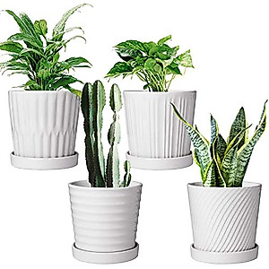 Brajttt Flower Pots,6 Inch Succulent Pots with Drinage,Indoor Round Planter Pots with Saucer,White Cactus Planters with Hole,Outdoor Graden Pots 4 Pack