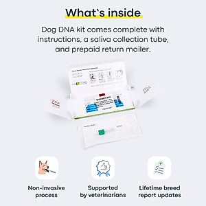 Basepaws Dog DNA Testing Kit - 300+ Breeds, 280+ Health Risks, and 30+ Traits - Comprehensive Health, Trait, and Mixed Breed Identification, Dog DNA Test kit, Test Dogs Genetic Ancestry and Heritage