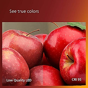 Philips LED Vintage Flicker-Free Amber Spiral ST19, Dimmable, Eye Comfort Technology, 300 Lumen, Amber (2000), 4.4W=40W, Title 20 Certified, E26 Base, 4PK (573963)