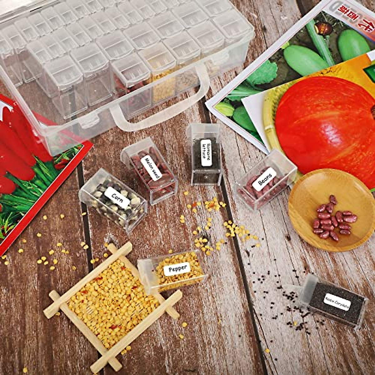 OPELETNNT 48 Slots Plastic Seed Storage Organizer Box in 2 Size,Transparent Reusable Seed Container Organizer with Label Stickers, Garden Seed Storage Organizer Container for Seeds, Plant, Vegetable