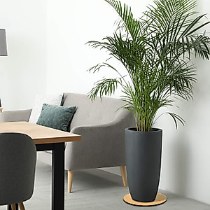 6 Pieces Cork Plant Mat Plastic Plant Mat Round Plate Pad for Garden, Courtyard, Pot Mat, Indoor Outdoor and DIY Craft Project (4 Inches, 6 Inches, 8 Inches)