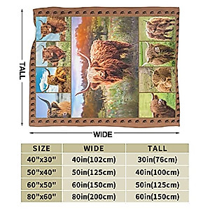 Highland Cow Throw Blanket Highland Cow Animal Plush Blanket Gifts for Girls Women Adults Highland Cattle Fleece Blanket Soft Cozy Warm Cow Blanket Decor for Couch Bed Dorm Sofa 40''X50''