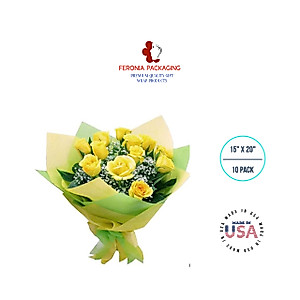 Gift Wrap Tissue Paper 10 Sheets, Premium Gift Wrap and Art Supplies for Birthdays, Holidays, or Presents by Feronia packaging, Large 15 Inch x 20 Inch Made in USA (Solid Kraft)