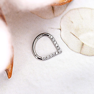 Awinrel Septum Rings 16G Helix Rook Cartilage Tragus Clicker Earrings CZ Teardrop Nose Hoop Daith Earring 8mm 316L Surgical Steel Segment Piercing Jewelry