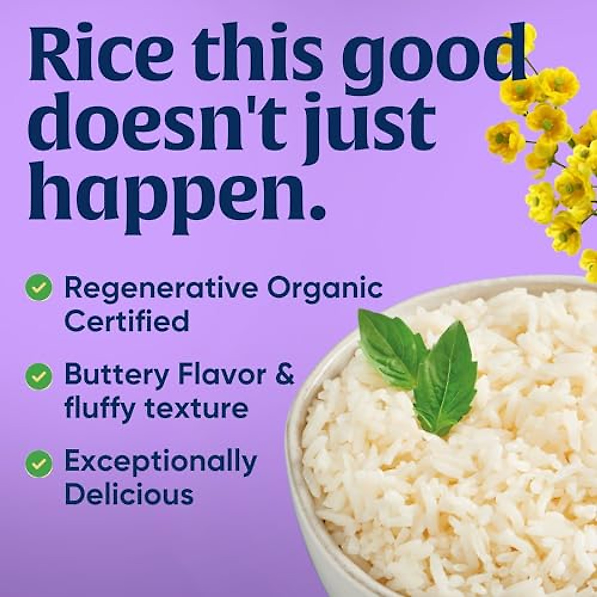 Lundberg Jasmine Rice, Regenerative Organic Certified – Non-Sticky, Aromatic Long-Grain White Rice, Responsibly Grown in California, 32 Oz