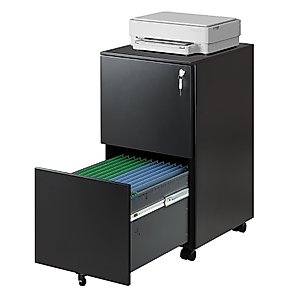 DEVAISE 2-Drawer Rolling File Cabinet with Lock, Metal Filing Cabinet for Home Office, Fully Assembled Under Desk Cabinet, Black