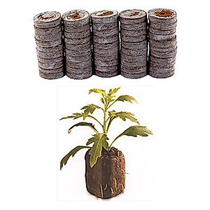 50 Count - Jiffy 7 Peat Pellets - Seed Starter Soil Plugs - 36 mm - Start Seedlings Indoors - Easy to Transplant to Garden